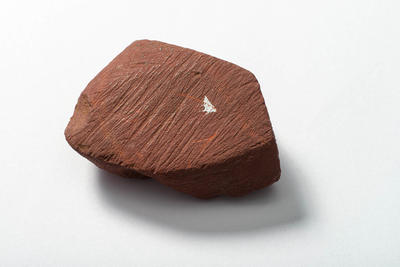 Search results - Queensland Museum
