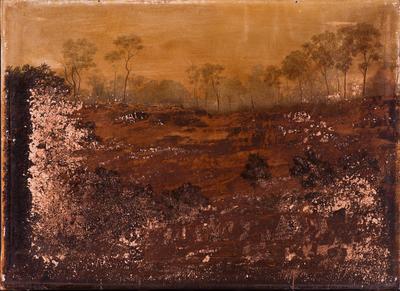 Highlights - Richard Daintree Photographic Collection - Queensland Museum