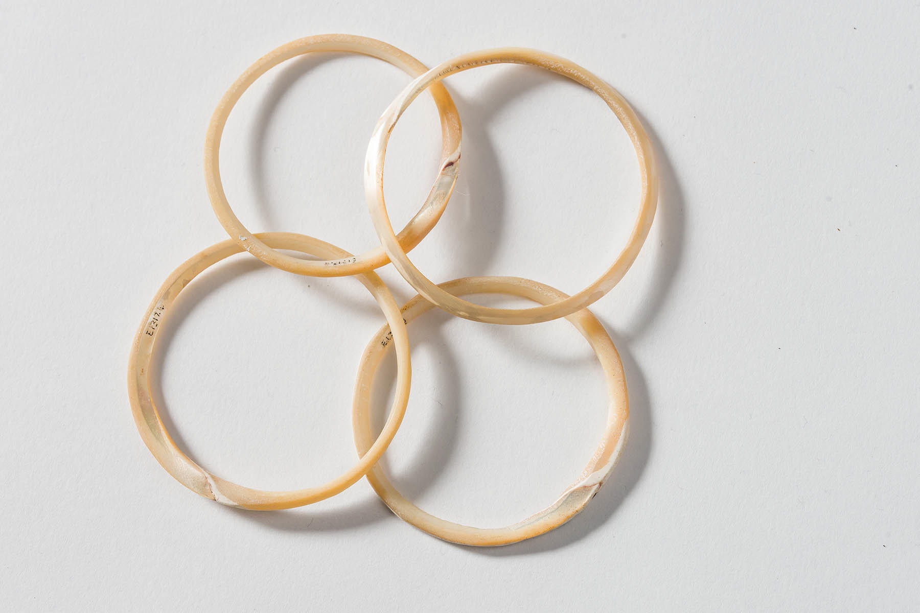 Arm ornament-shell; - Queensland Museum