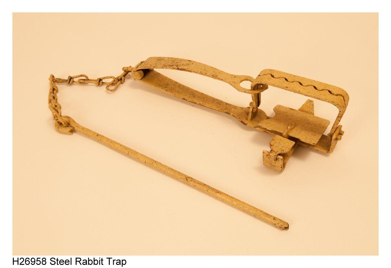 Rabbit Trap; H26958 - Queensland Museum