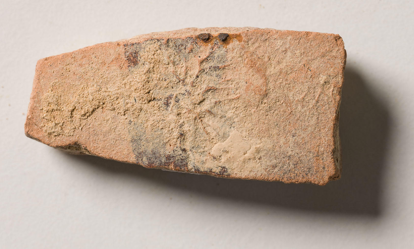 vessel, pottery fragment, body sherd; E40169.6 - Queensland Museum