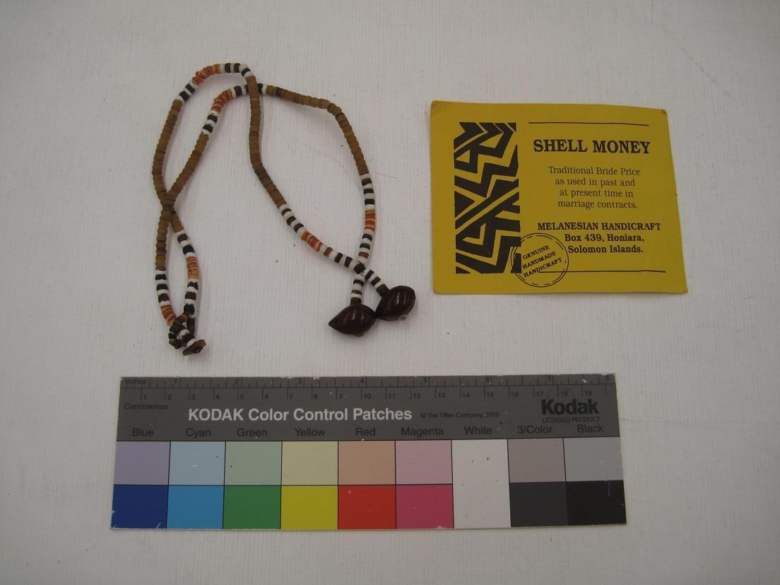 Shell currency; E40752 - Queensland Museum